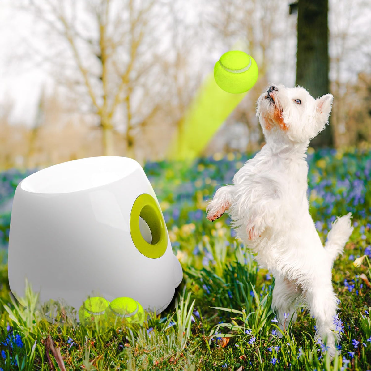 Automatic Dog Ball Launcher – PetPhenom
